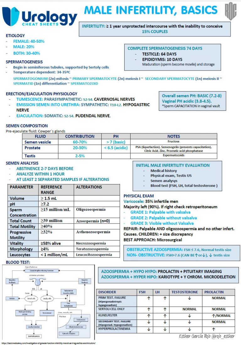 Male infertility, basics - Urology Cheatsheets