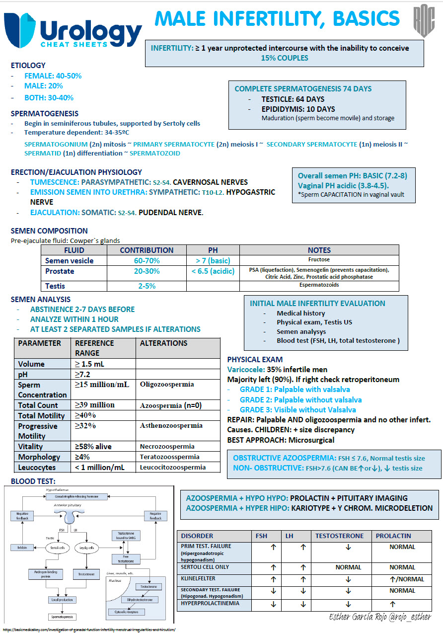 Male infertility, basics - Urology Cheatsheets
