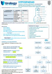Hypospadias - Urology Cheatsheets