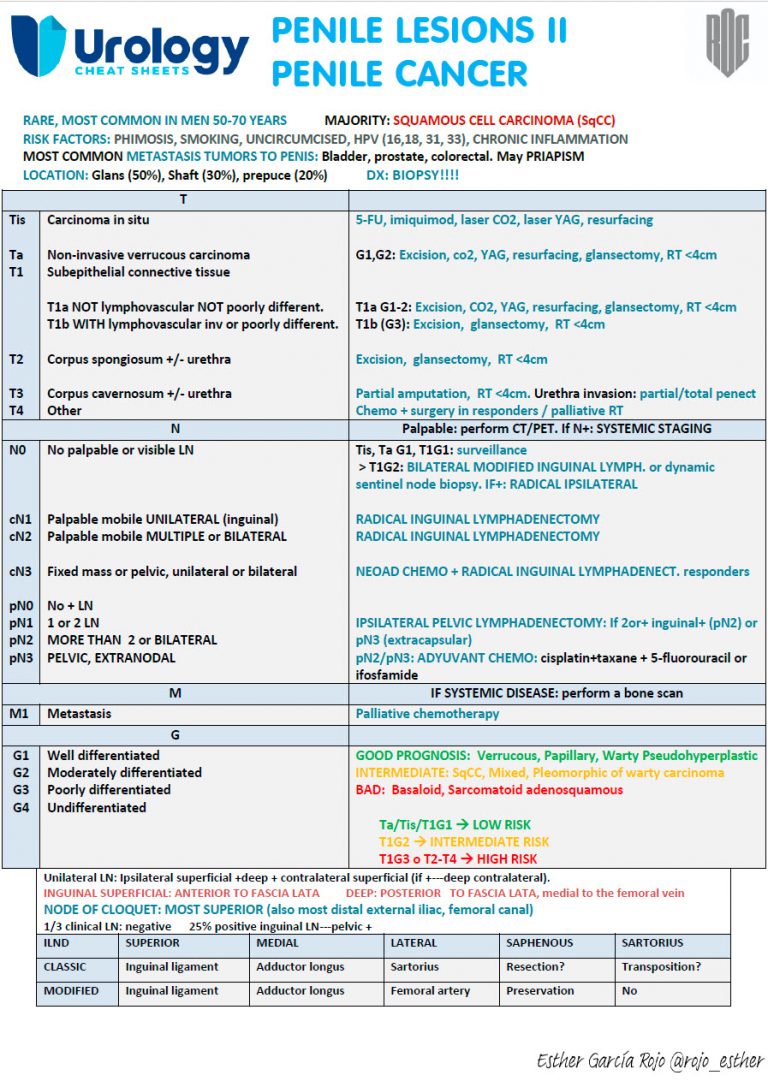 Penile cancer - Urology Cheatsheets