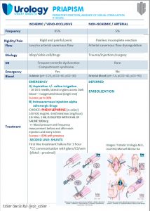 Priapism - Urology Cheatsheets