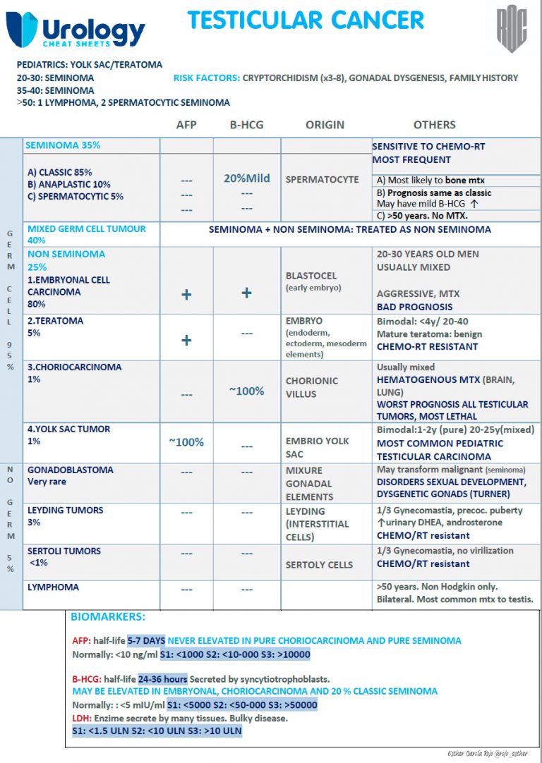 Testicular cancer - Urology Cheatsheets