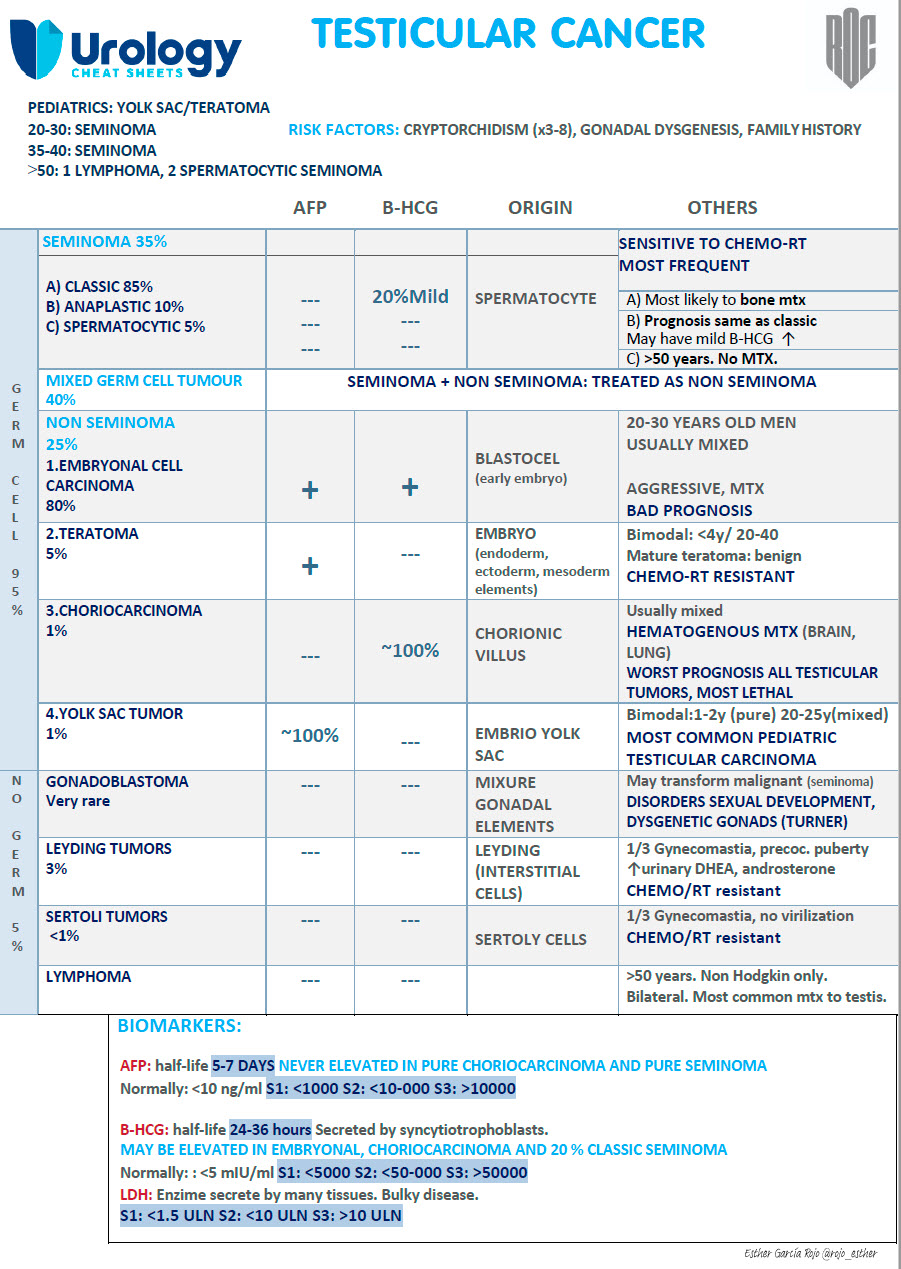 Testicular cancer - Urology Cheatsheets