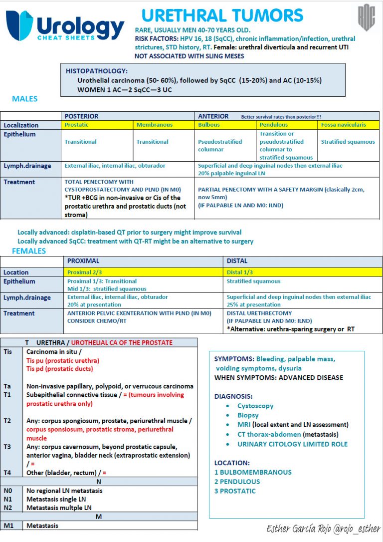 Urethral carcinoma - Urology Cheatsheets