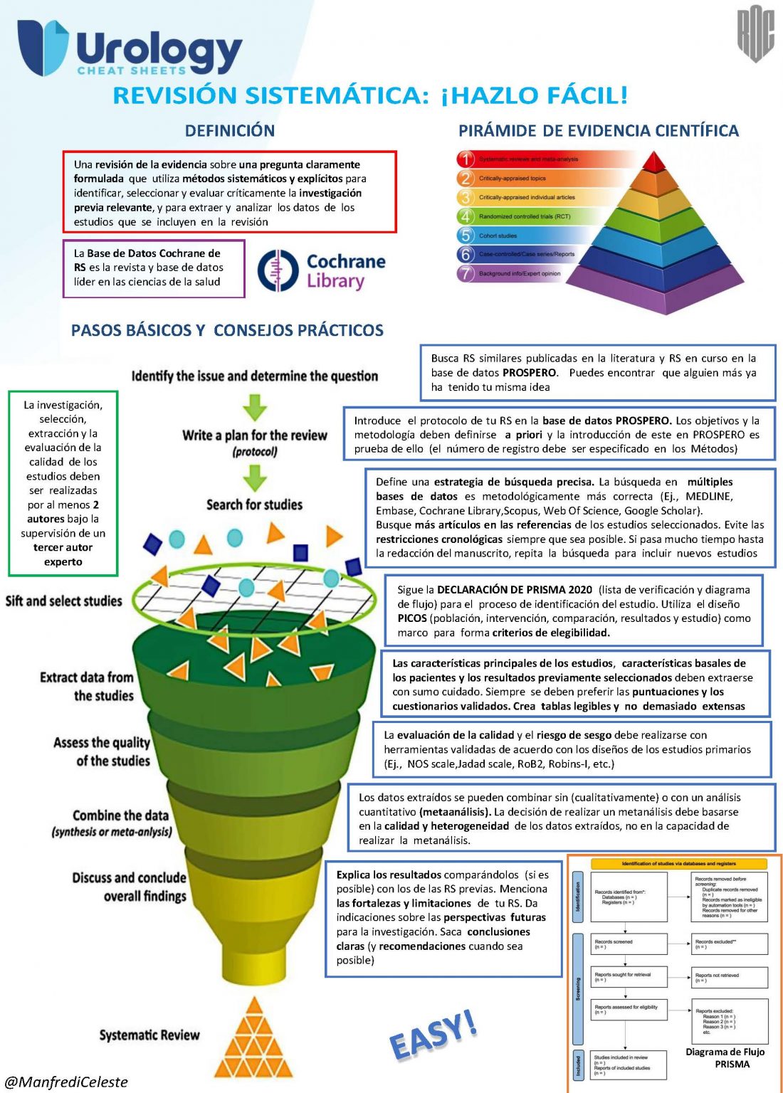 Revisión sistemática: pasos básicos y consejos prácticos - Urology Cheatsheets