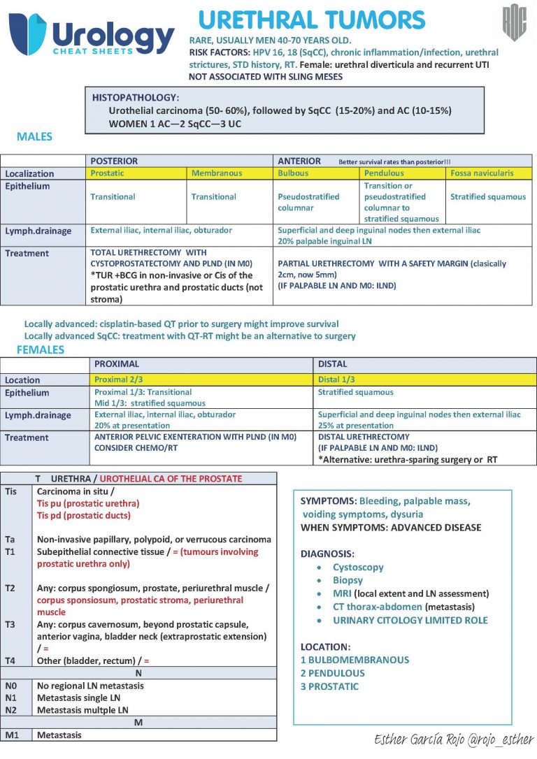 Urethral carcinoma - Urology Cheatsheets