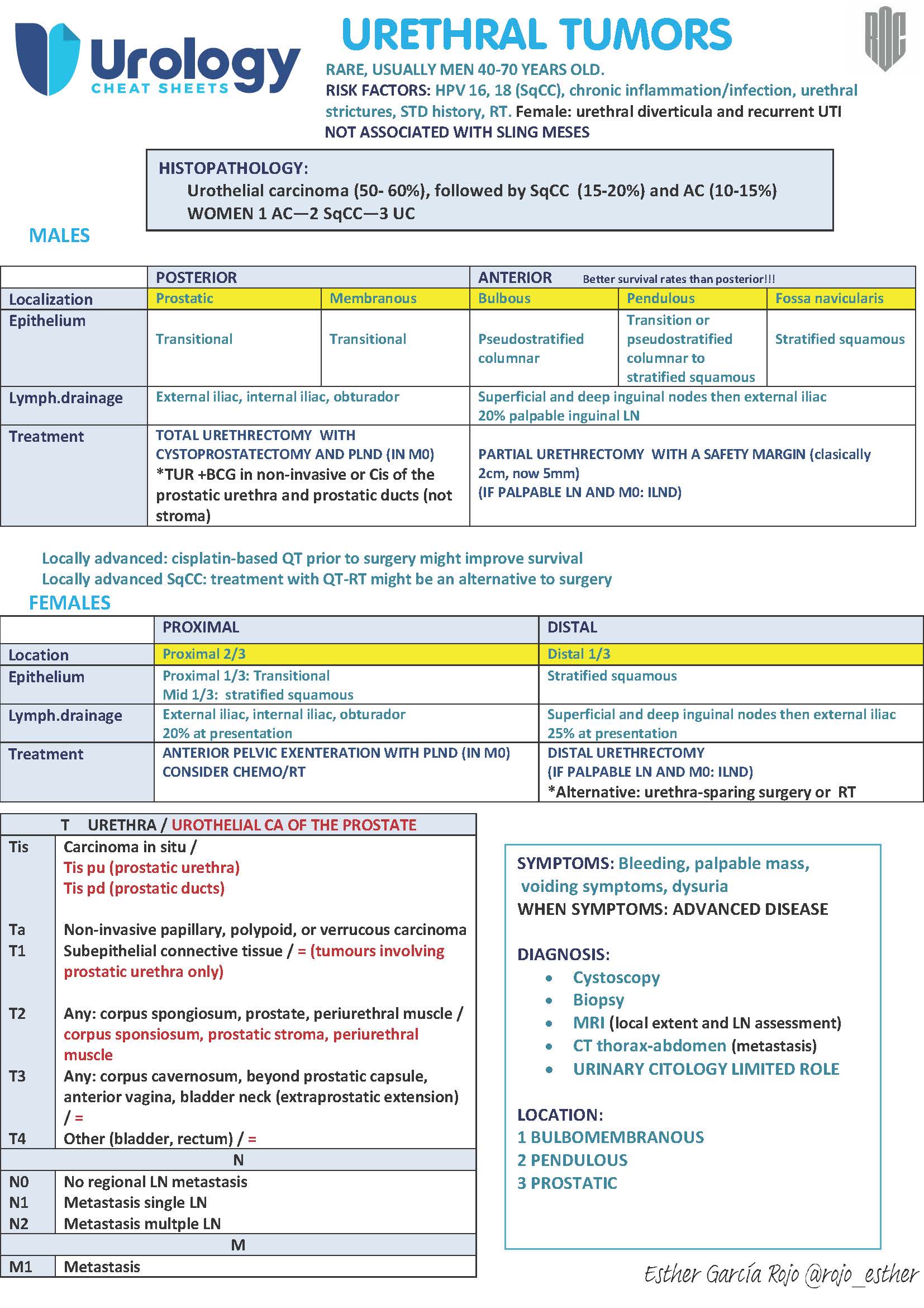 Urethral carcinoma - Urology Cheatsheets