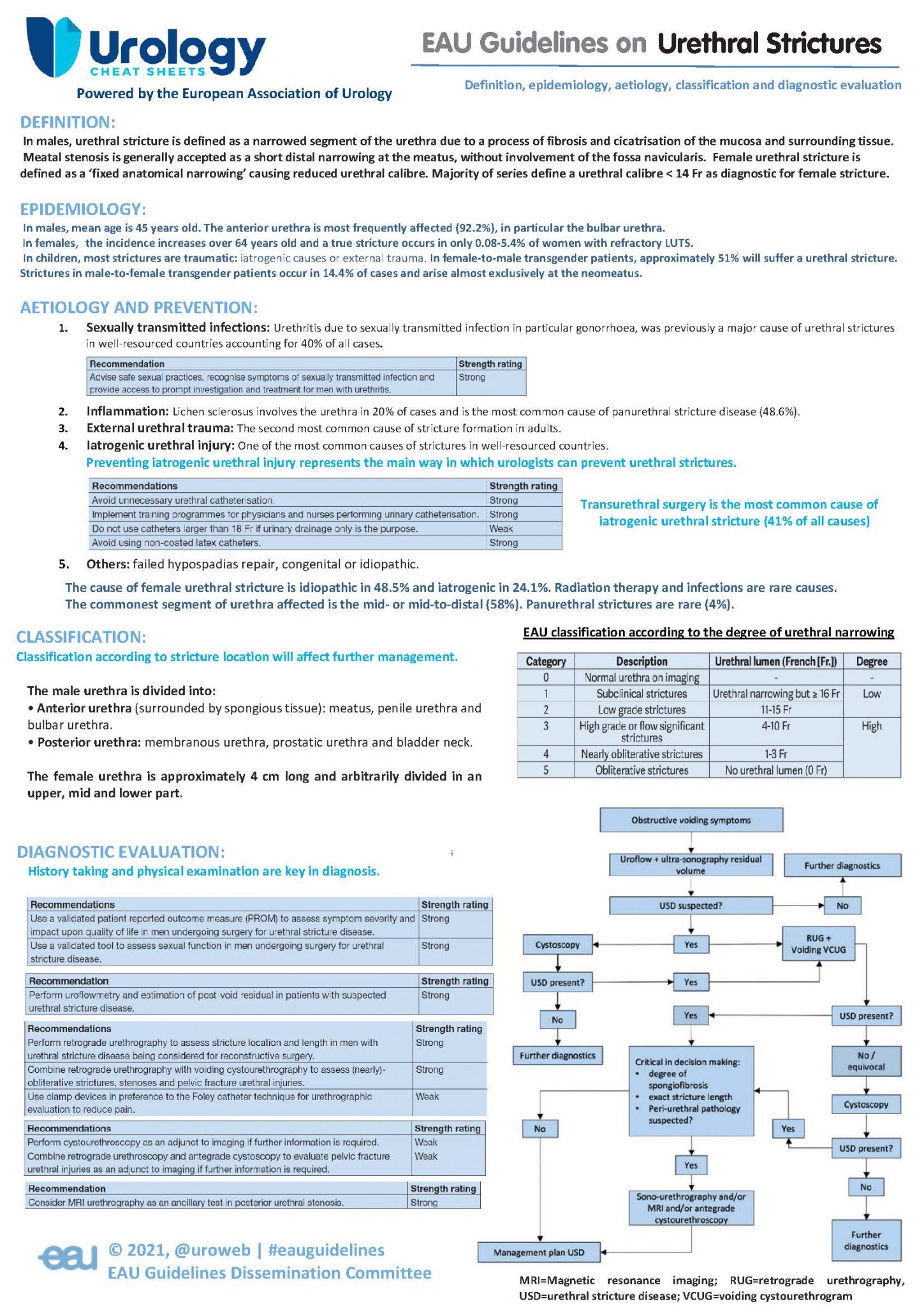 EAU Guidelines on Urethral Strictures - Urology Cheatsheets