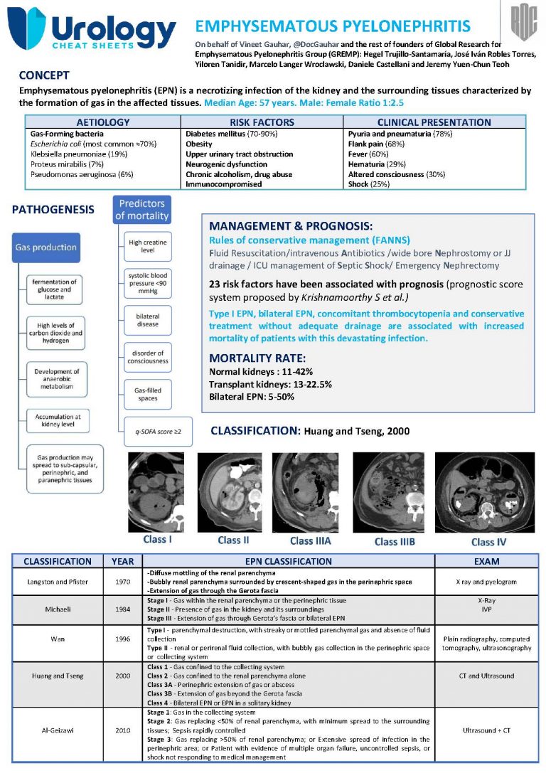 Emphysematous pyelonephritis By Vineet Gauhar - Urology Cheatsheets