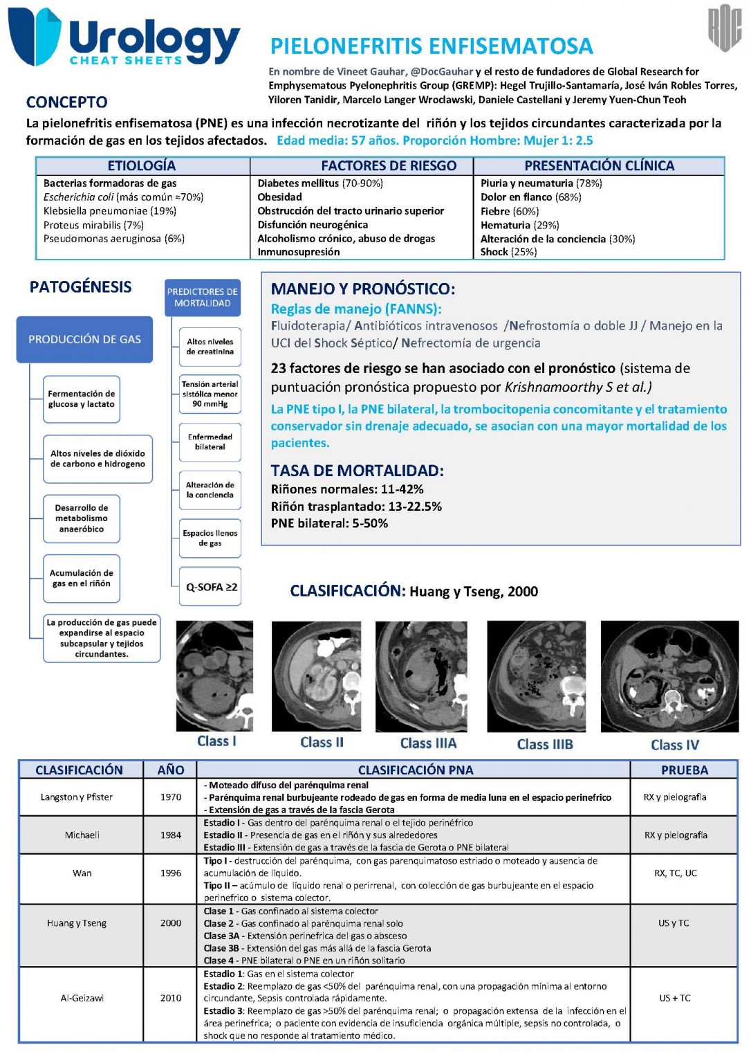 Pielonefritis Enfisematosa By Vineet Gauhar - Urology Cheatsheets
