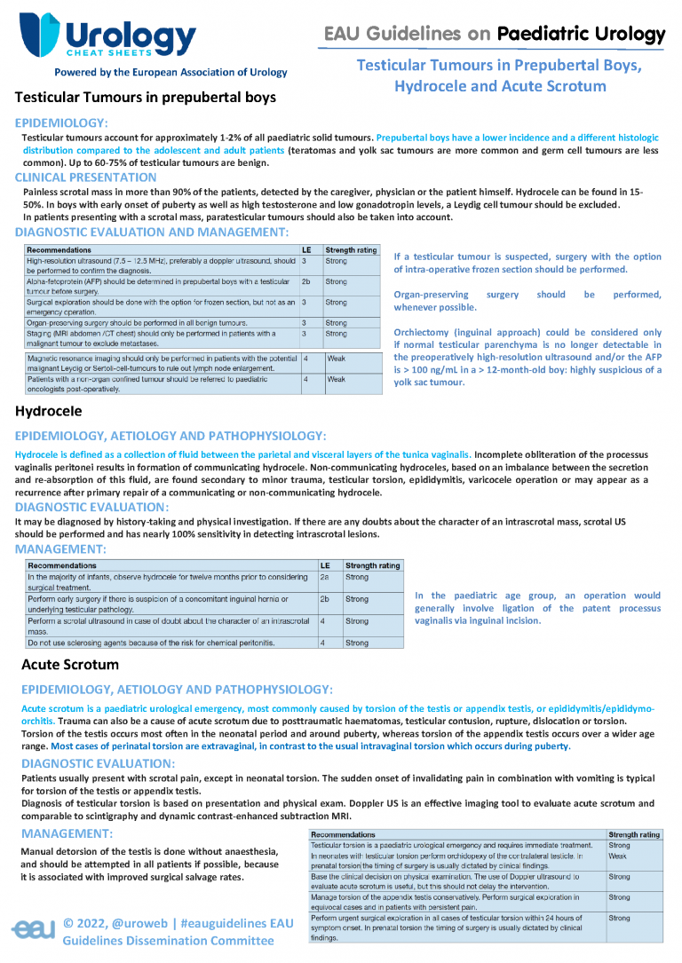 EAU Guidelines on Paediatric Urology - Urology Cheatsheets