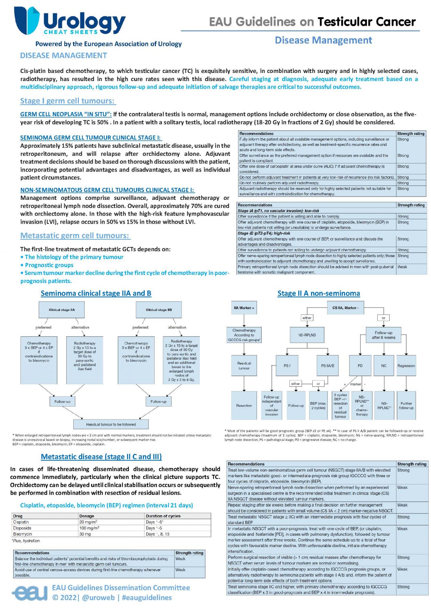 EAU Guidelines on Testicular Cancer - Urology Cheatsheets