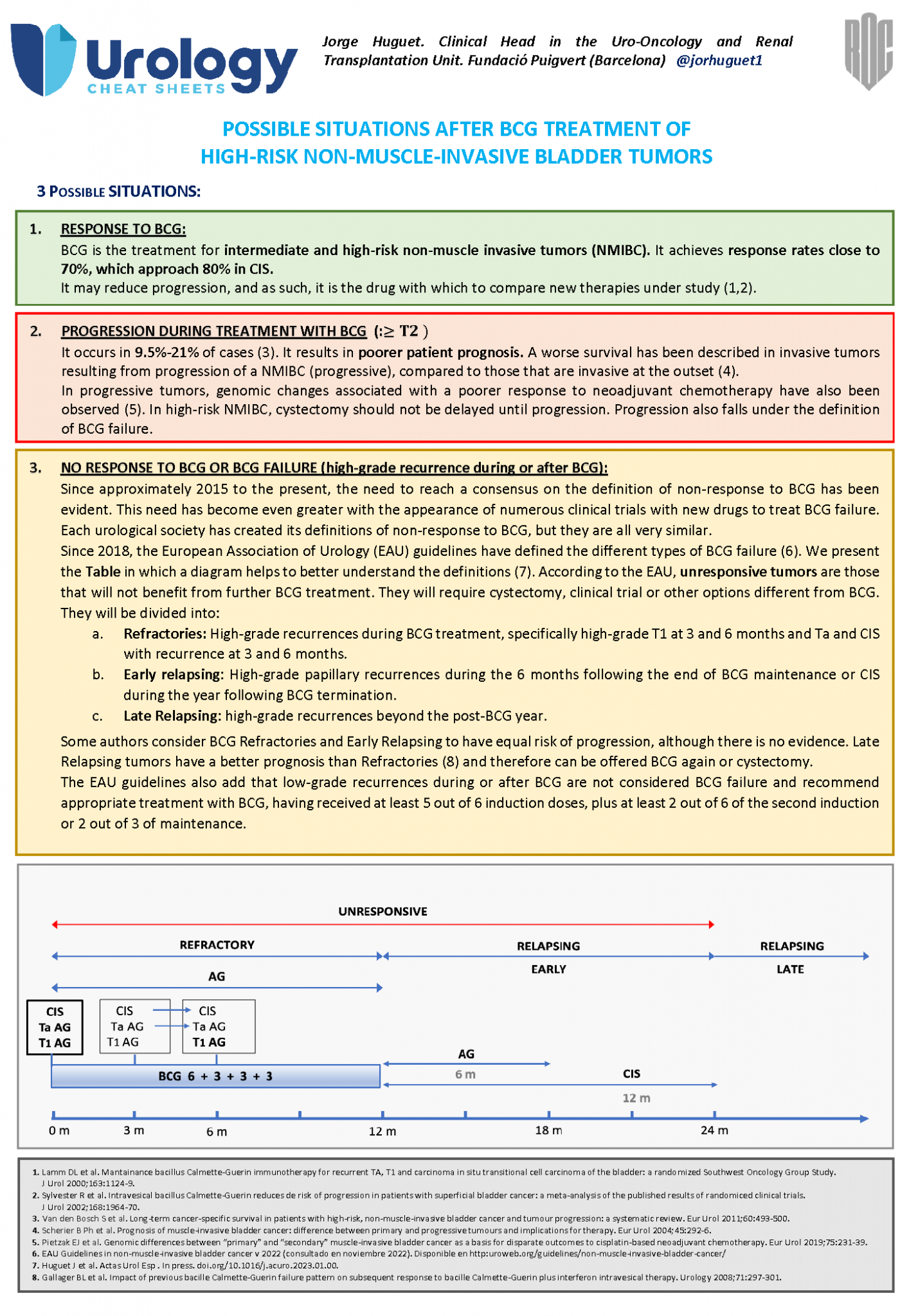 BCG treatment in high-risk non-muscle invasive bladder tumours ...
