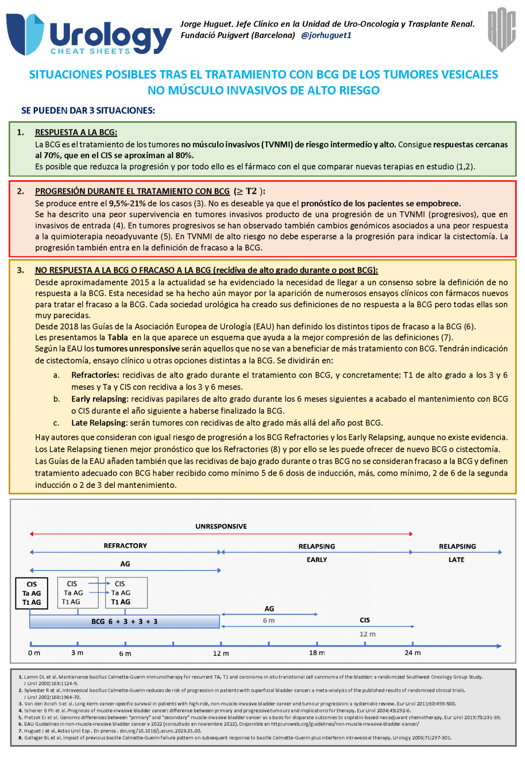 Tratamiento con BCG en tumores vesicales no músculo invasivos de alto ...