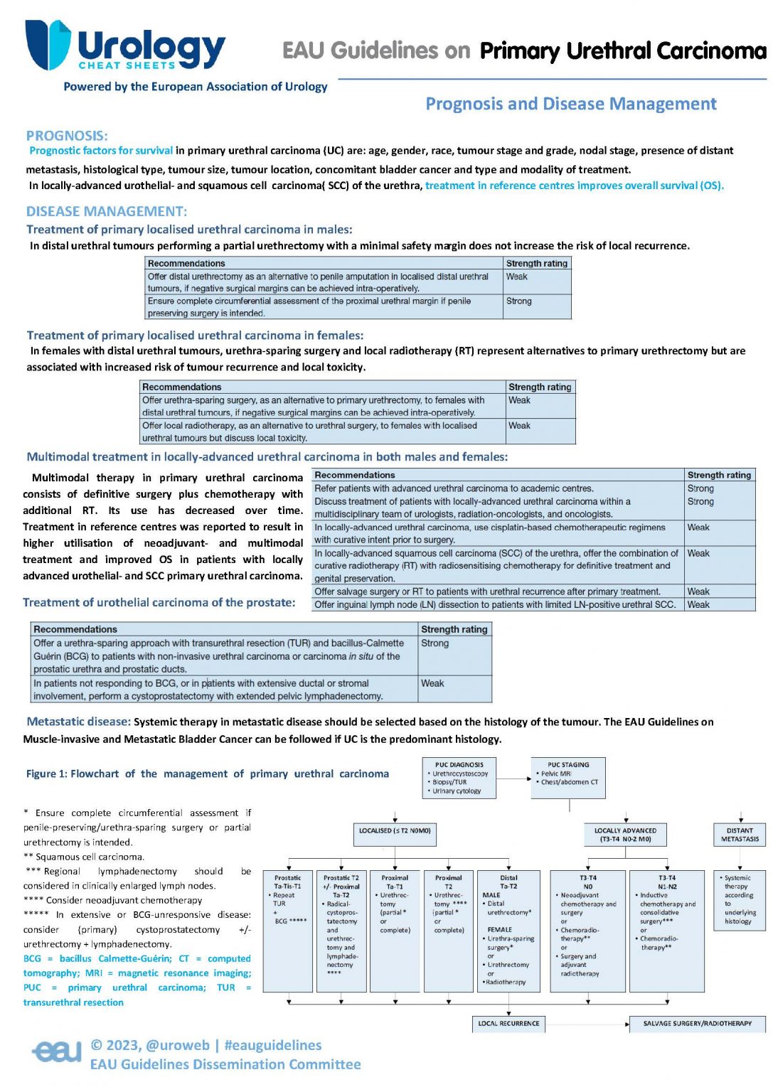 EAU Guidelines on Urethral Carcinoma II - Urology Cheatsheets