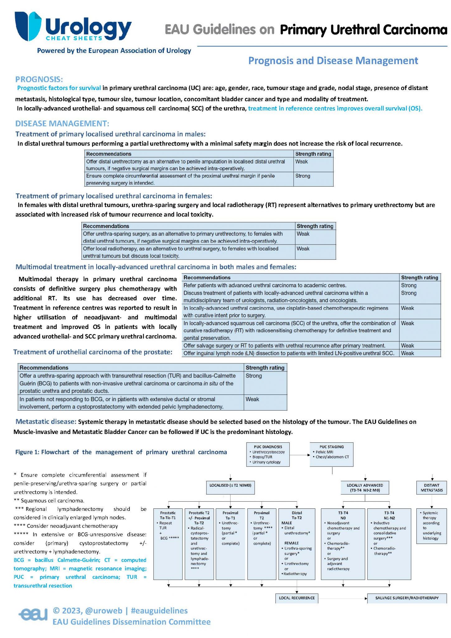 EAU Guidelines on Urethral Carcinoma II - Urology Cheatsheets