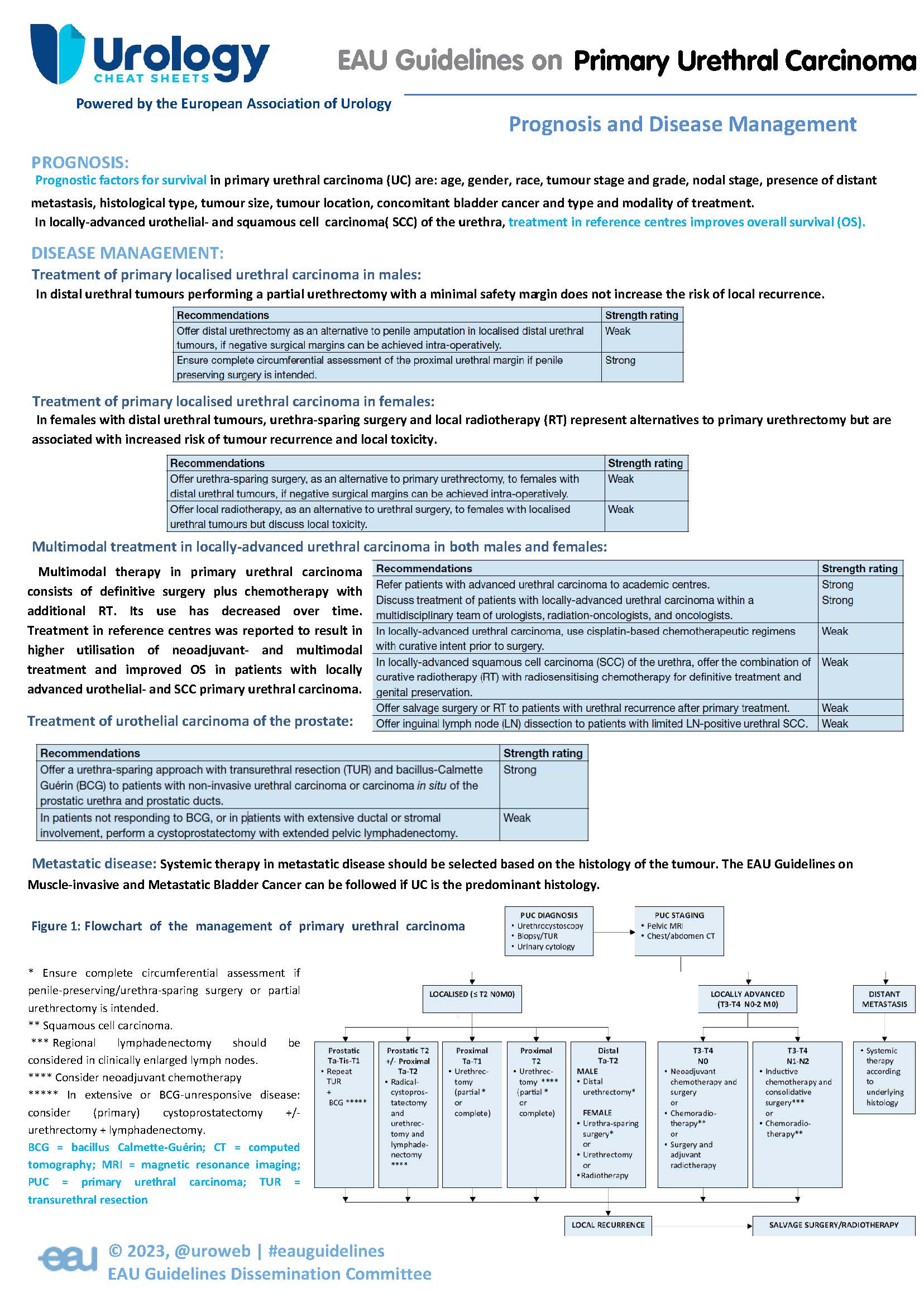 EAU Guidelines on Urethral Carcinoma II - Urology Cheatsheets
