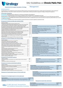 EAU Guidelines on Chronic Pelvic Pain II - Urology Cheatsheets