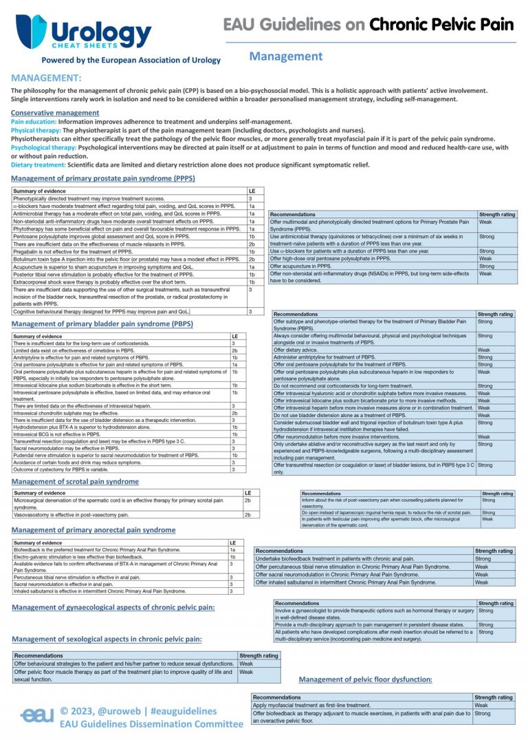 EAU Guidelines on Chronic Pelvic Pain II - Urology Cheatsheets