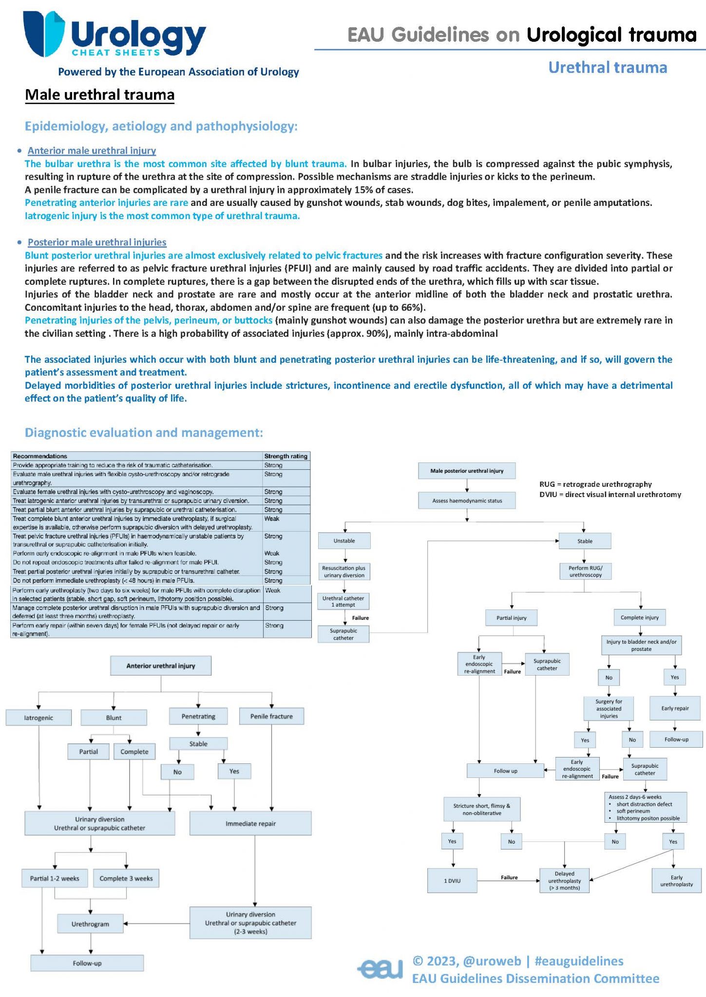EAU Guidelines on Urological trauma III - Urology Cheatsheets