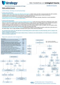 EAU Guidelines on Urological trauma III - Urology Cheatsheets