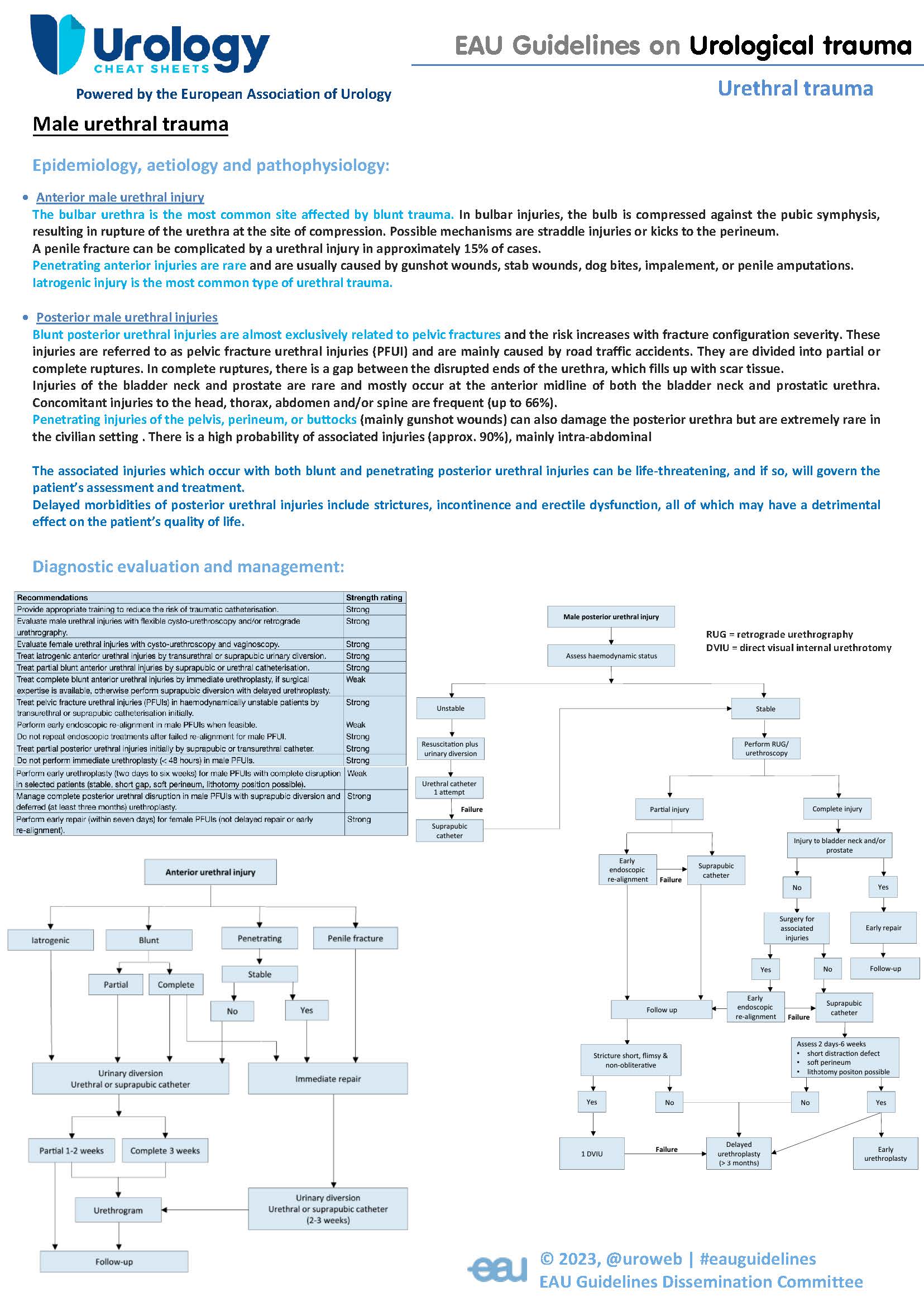 EAU Guidelines on Urological trauma III - Urology Cheatsheets