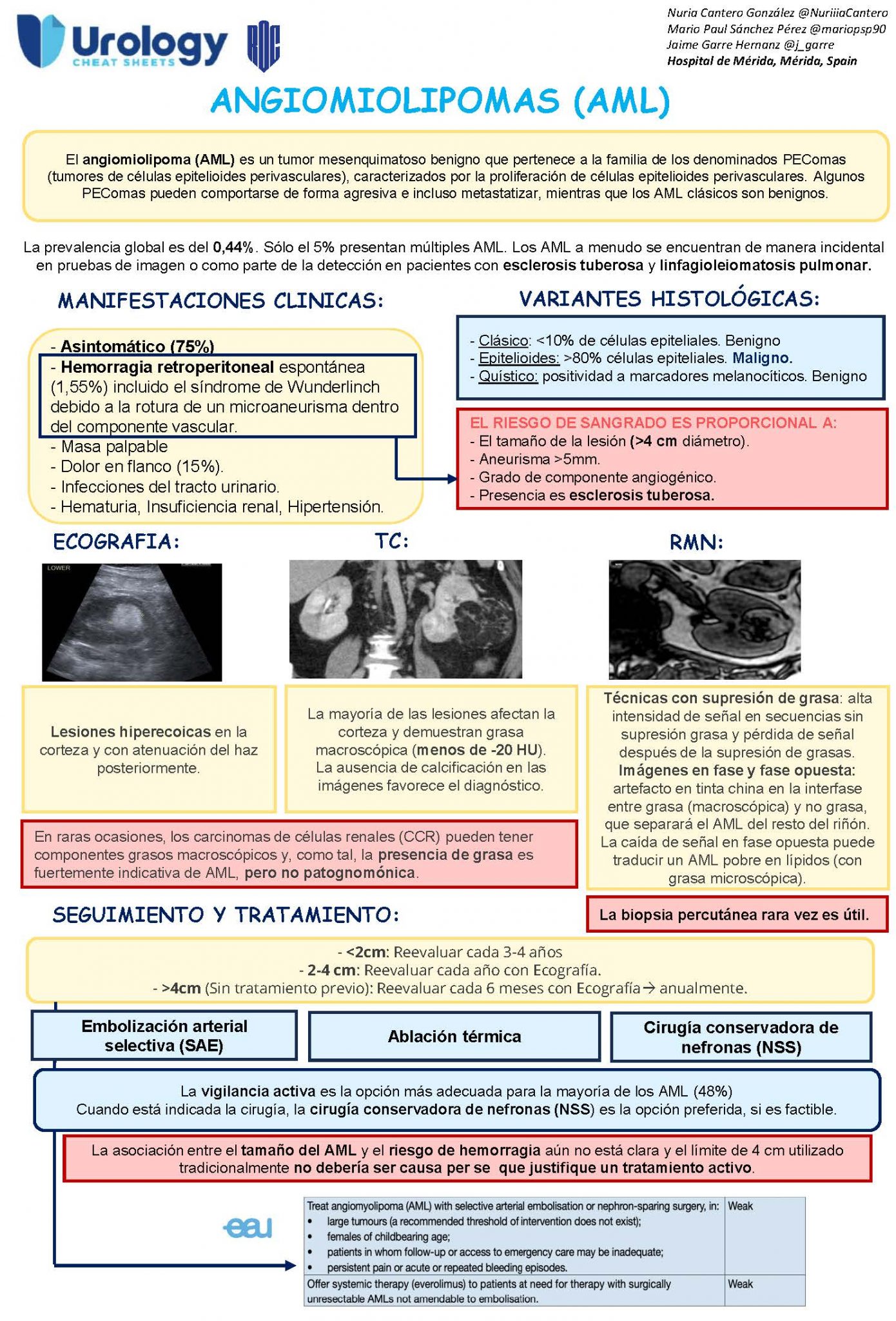ANGIOMIOLIPOMAS - Urology Cheatsheets