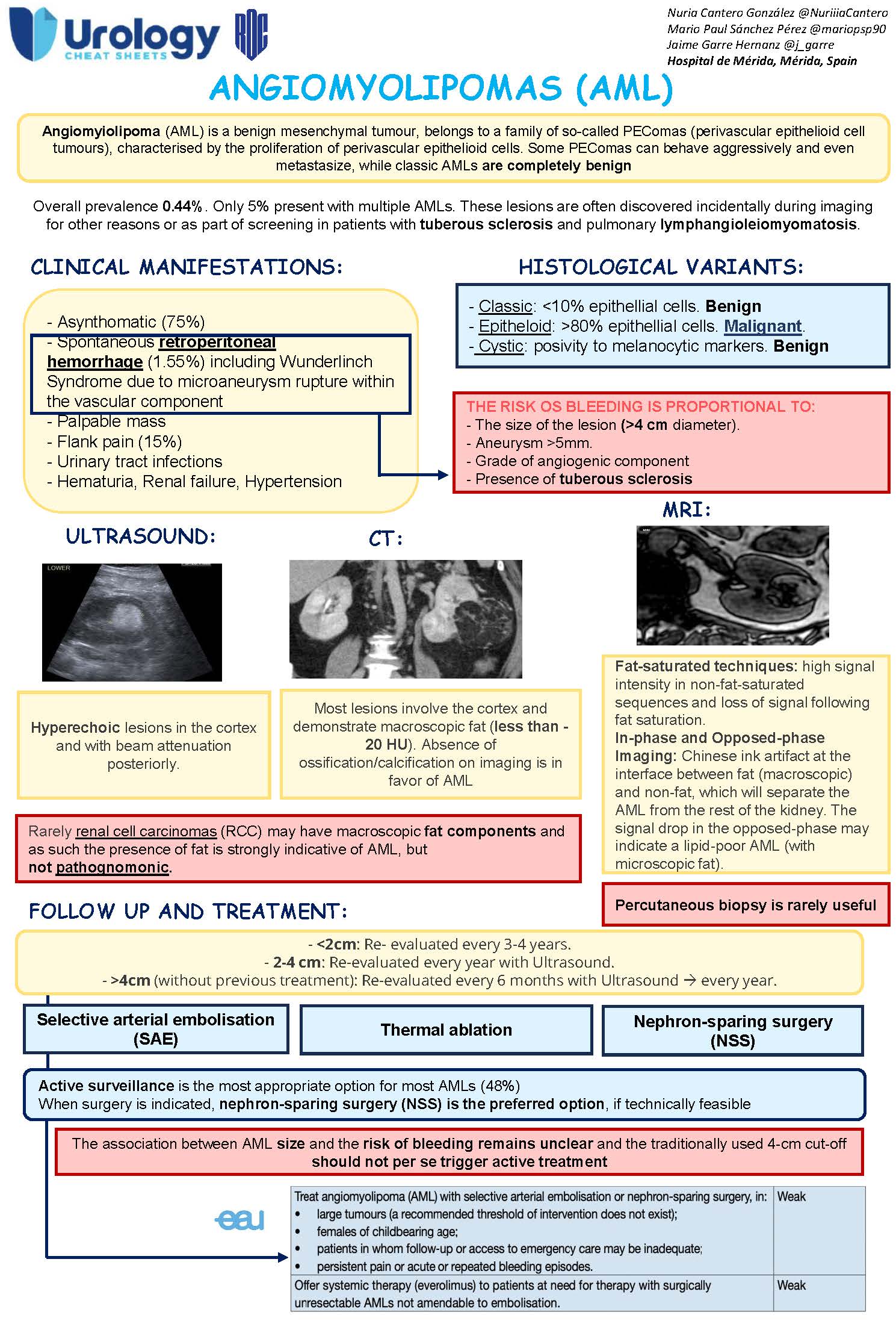 Angiomyolipomas, a review - Urology Cheatsheets