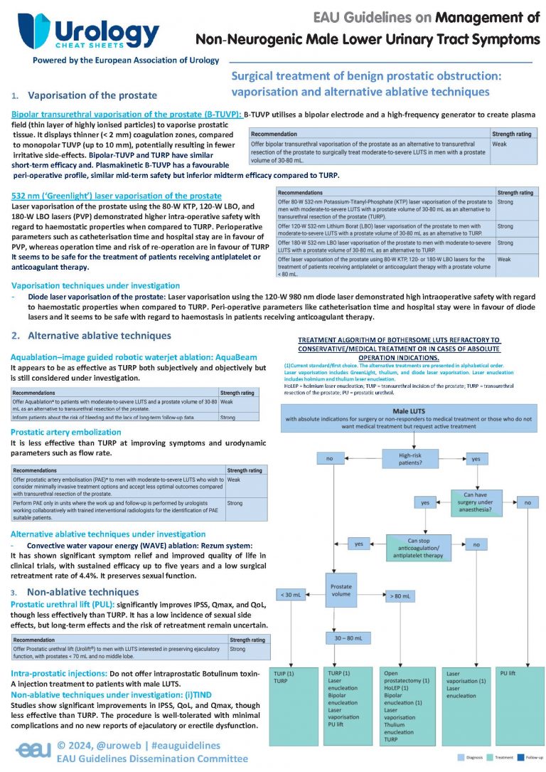 EAU Guidelines on Management of Non-Neurogenic Male Lower Urinary Tract ...